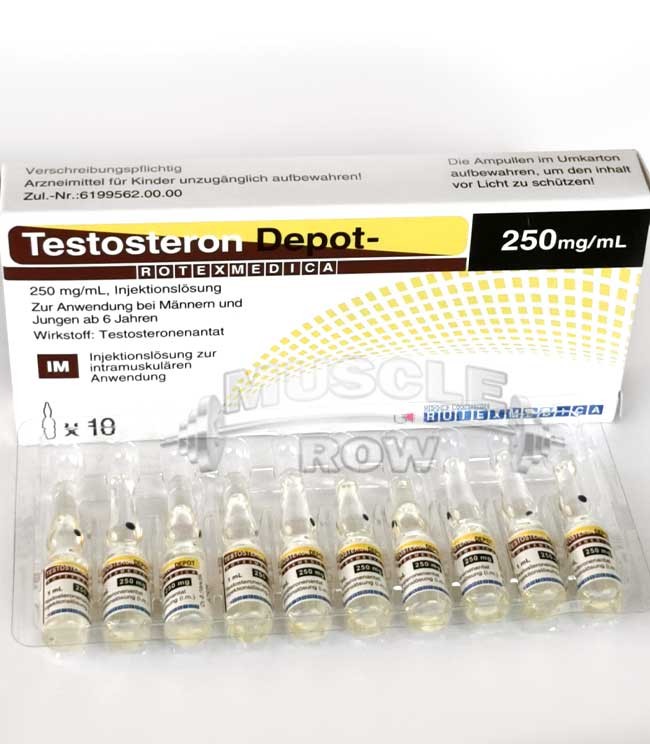 Testosteron Depot Rotexmedica 250mg/ml (10 x 1ml) - MuscleRow